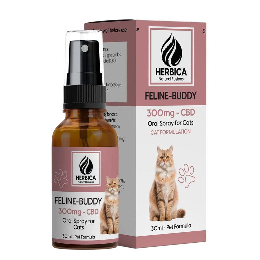 Feline Buddy – EquiClay